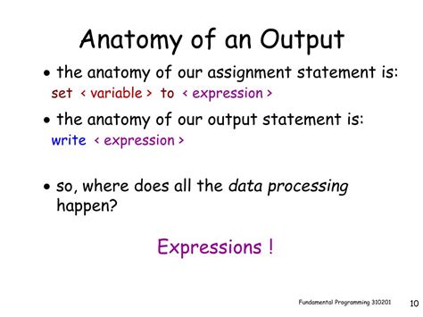 Image result for Program Fundamental Code