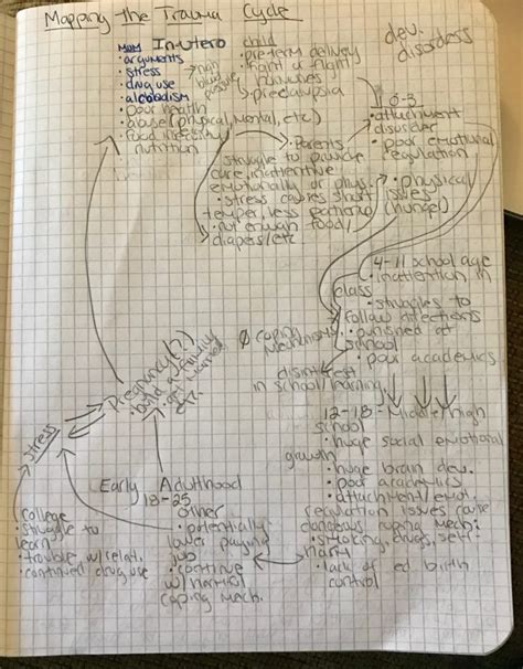 Image result for Trauma Cycle