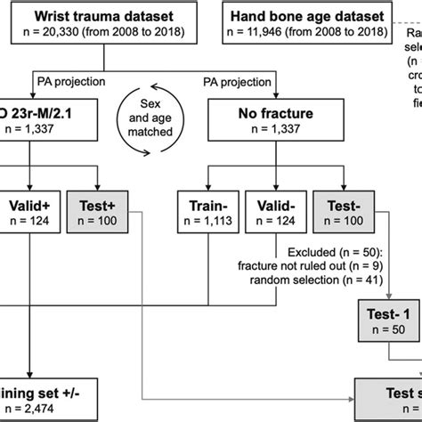 Image result for Image Processing Algorithm for DICOM Images