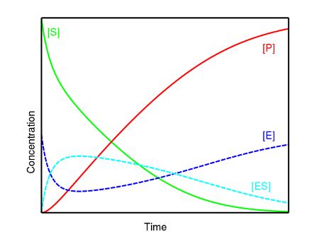 Zero-Order Kinetics | Overview, Elimination & Equation - Lesson | Study.com