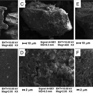 Image result for Humic Acid Sem
