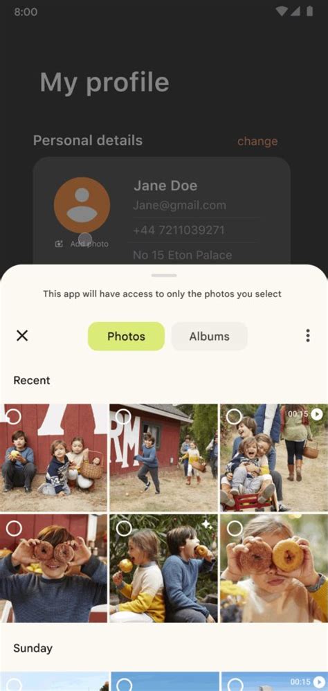 Image result for Android 13 Developer Mode