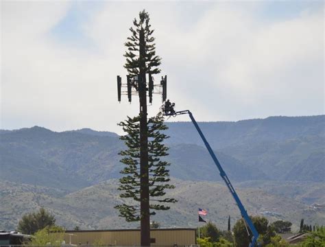 Image result for Fake Tree Cell Tower