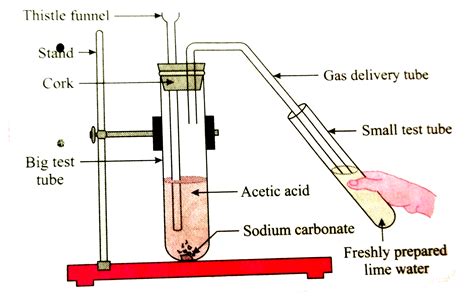 Image result for Tube Test Procedure