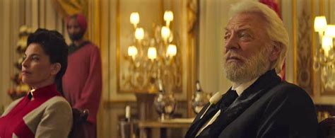 Image result for Mockingjay 2