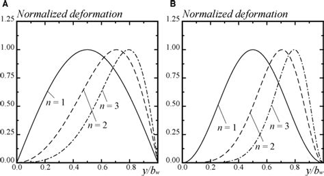 Image result for Basis Function Examples