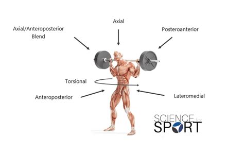 Image result for Specialisation of Force Vector Engineering