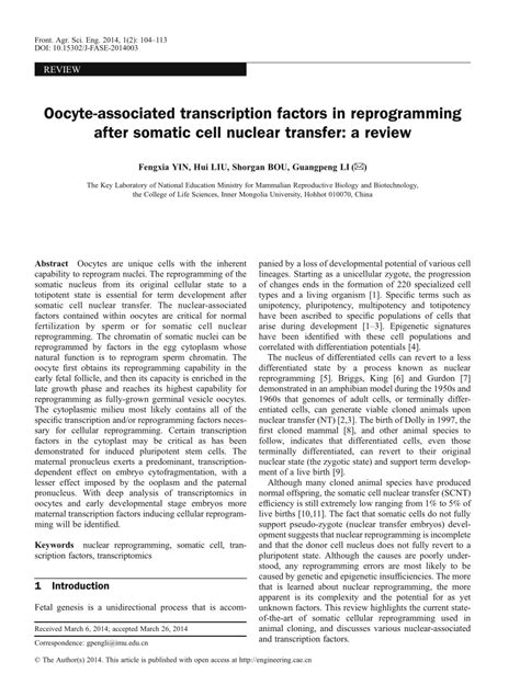 Image result for Reprogramming Factors