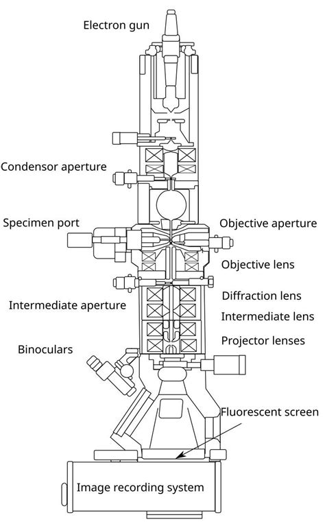 Image result for Tem Microscope Introduction