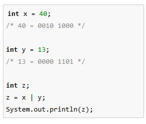 Image result for Bitwise Operators in Java Code