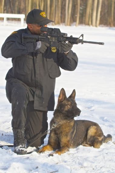 Image result for Advanced K9 Script Frobski