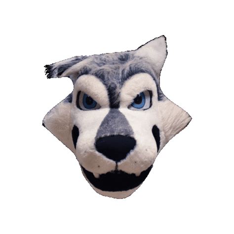 Image result for Alpha Course GIF