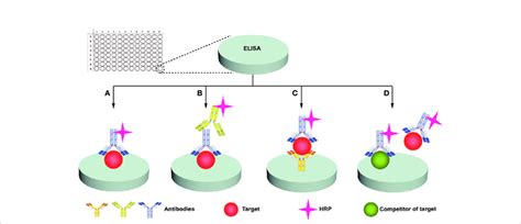 Image result for Estimation of Protein Content Using Elisa