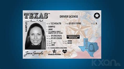 Image result for License Card Code 10