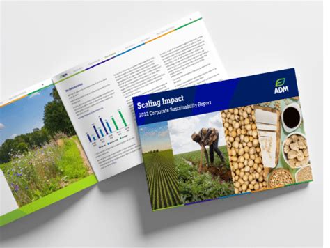 Image result for ADM Decatur Map