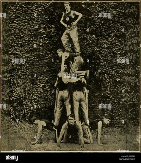 Image result for Pyramid Building