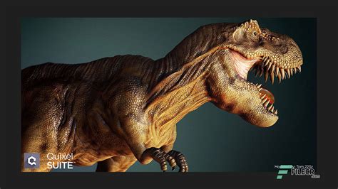 Image result for Quixel Library