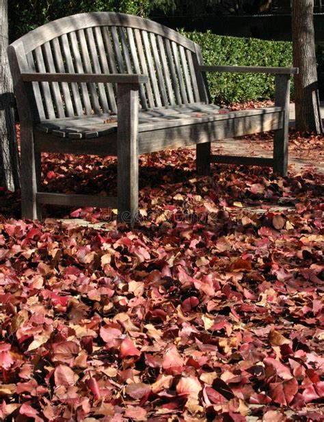 Image result for Fall Rustage