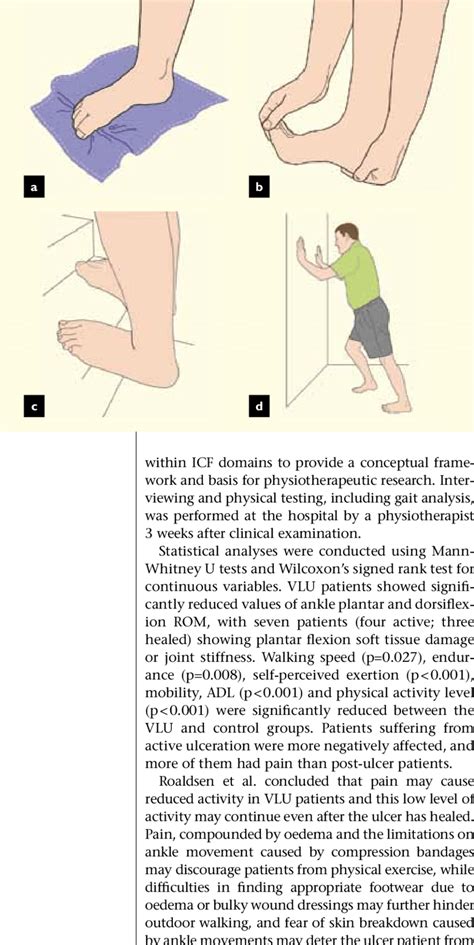 Image result for Toe Curls Exercise