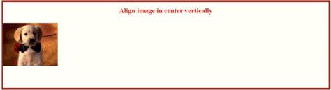 Image result for Center a Div CSS