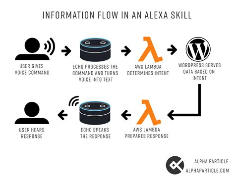 Image result for Alexa API Skill Set