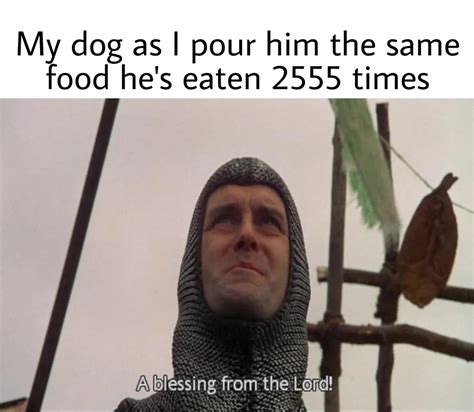 Image result for Monty Python Holy Grail Meme