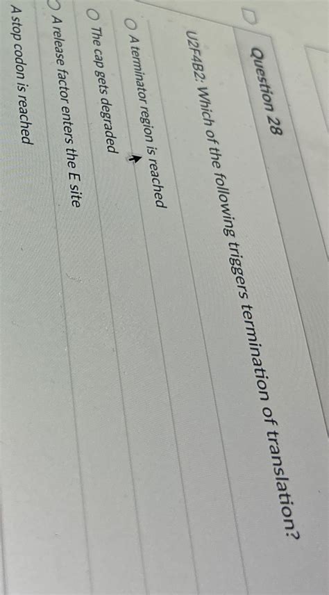 Image result for Terminator Region