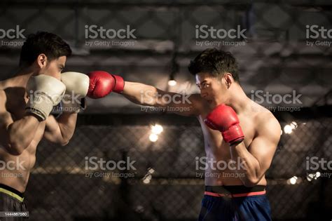 Image result for Boxing in Pool