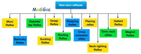 Image result for Extrapyramidal System Examination Paediatrics