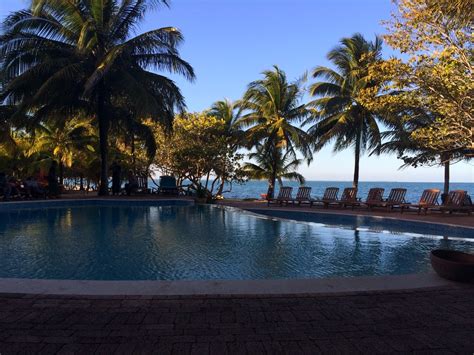 Image result for Timber Frame Design