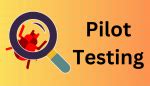 Image result for Pilot Testing in Blue Color