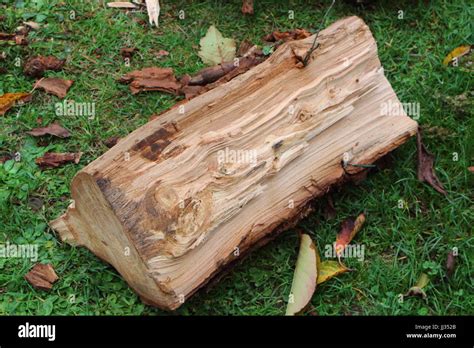 Image result for How to Split a Log