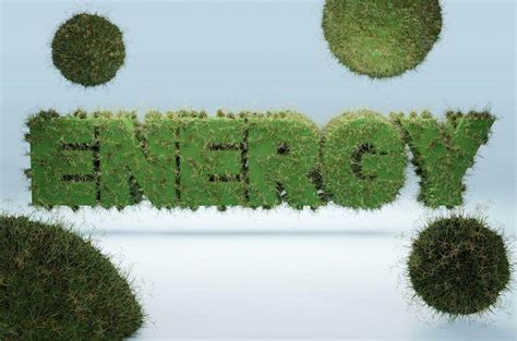 Image result for Renewable resource Examples