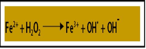 Image result for H2O2 Cell Reaction