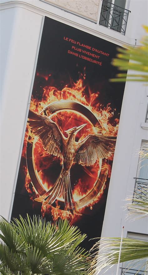 Image result for Hunger Games Mockingjay Poster