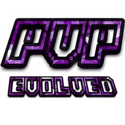 Image result for Minecraft PvP Evolution
