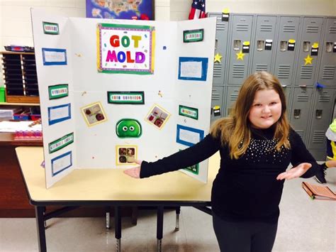 Image result for Science Project to 4th Class