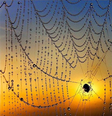 Image result for Gods Algorithm Applications