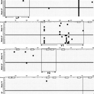Image result for Envelope Sequence Alignment