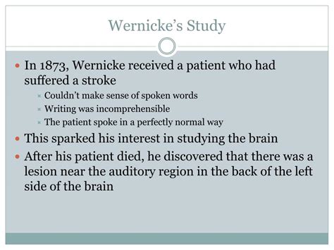 Image result for The Function of the Wernicke Connection
