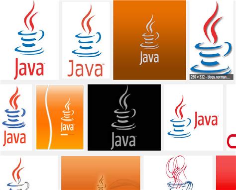 Image result for Java Resmi