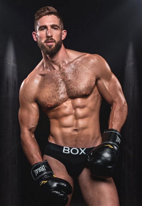 Image result for Boxer Model Mengine