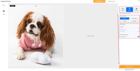 Image result for Topaz Labs Sharpen AI Tutorial