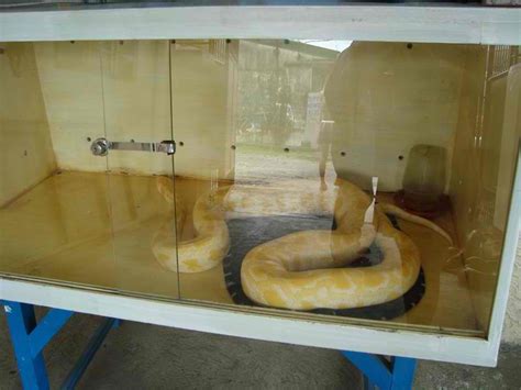 Image result for Python Care Fiche