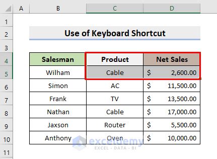 Image result for Excel Selectable Cell