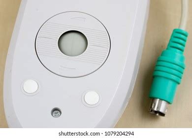 Old Computer Mouse Ball Photos, Images & Pictures | Shutterstock