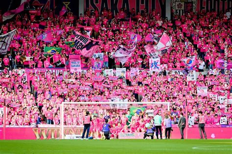 Image result for Football Models