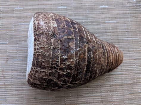 Image result for Taro Root Recipes