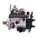 Image result for Delphi Y02 Injection Pump