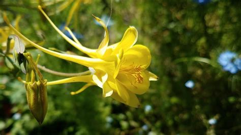 Image result for Spring Is Springing